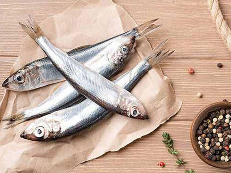 Kilkə balığı – həm ucuz, həm də çox faydalı